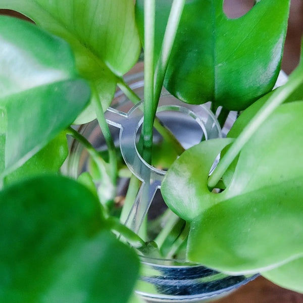 Leaf & Node Mason Jar Lid Inserts - Perfect for Plants & Flowers ...